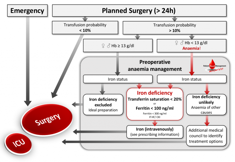 Medical rationale – Patient Blood Management
